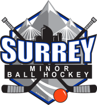 Order tickets for the WCC is BACK! 2022 50/50 Raffle | Raffle Nexus